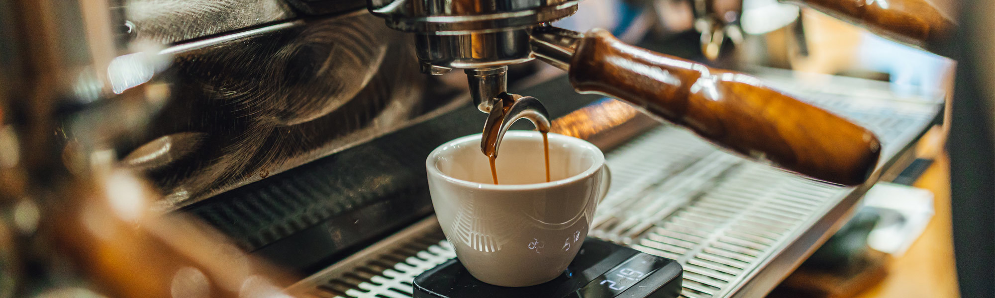 Coffee Course Auckland | Barista School Wellington, Christchurch