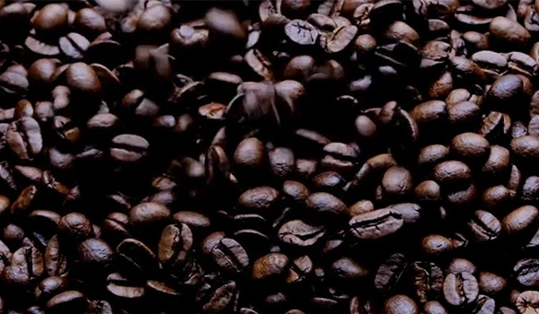 Barista Course Auckland | The Barista Academy New Zealand